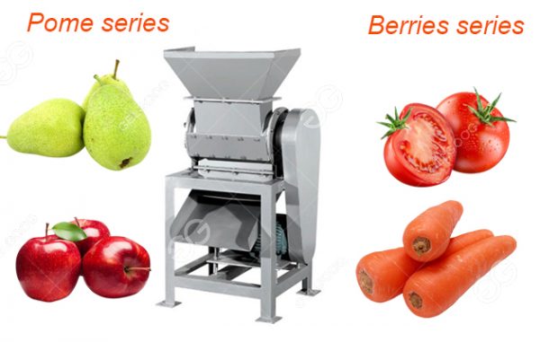Stainless Steel Fruit And Vegetable Crusher Machine Crush Size 5-8MM