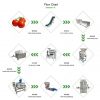 Tomato Sauce Manufacturing Plant Cost