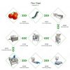 Small Scale Tomato Processing Plant With 250 kg/h Yield