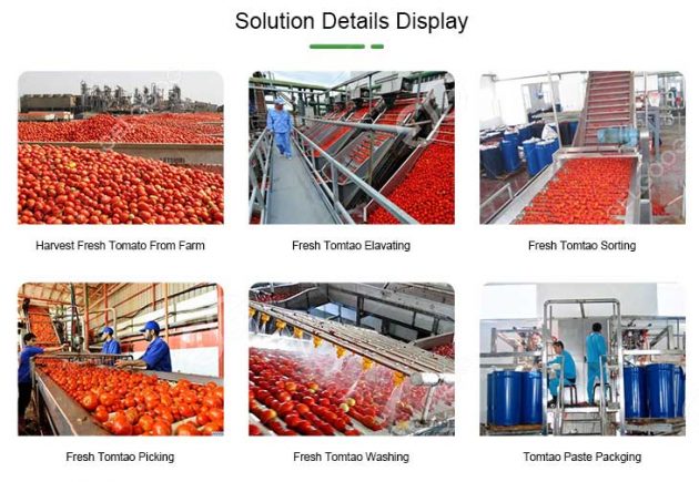 Tomato Sauce Manufacturing Plant Cost