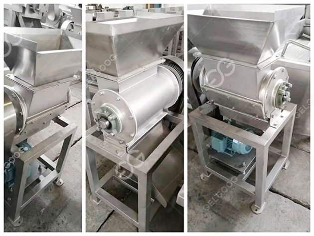 Small Scale Tomato Processing Plant With 250 kg/h Yield