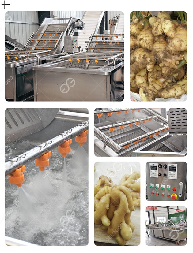 Auto Fresh Ginger/Turmeric Washing Machine Stainless Steel