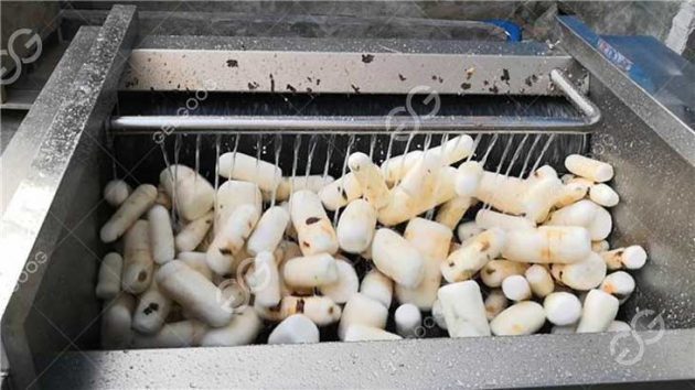 Cassava Washing and Peeling Machine for Cassava Processing