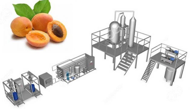 Jam Production Line for Peaches Plums Apricots Paste Processing