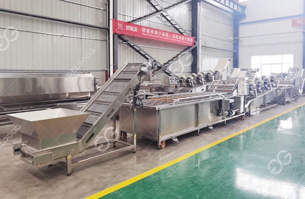 Auto Fresh Ginger/Turmeric Washing Machine Stainless Steel