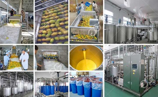 Automatic 2.5T/H Aseptic Mango Pulp Processing Machinery