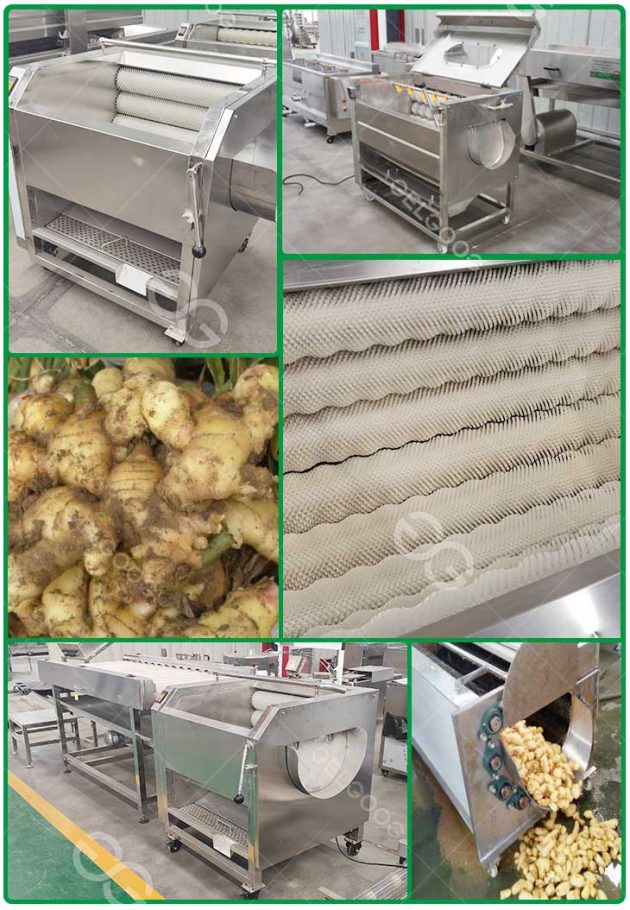 Fresh Ginger Skin Peeling Cleaning Machine For Sale