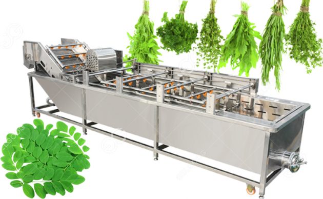 Moringa Leaf Washing Machine Leafy Vegetable Cleaning