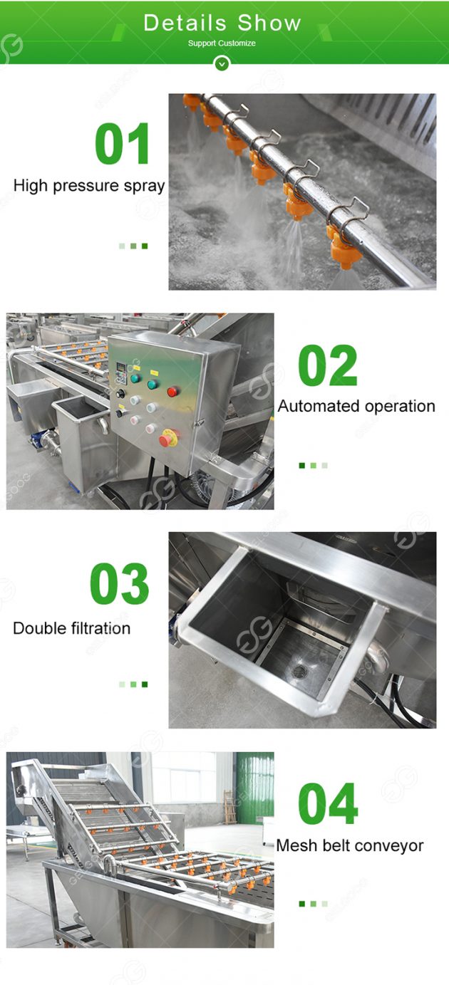 Moringa Leaf Washing Machine Leafy Vegetable Cleaning