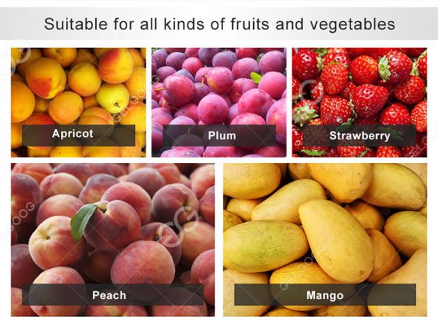 Fruit Pulp Extraction Machine For Mango Pulp Making