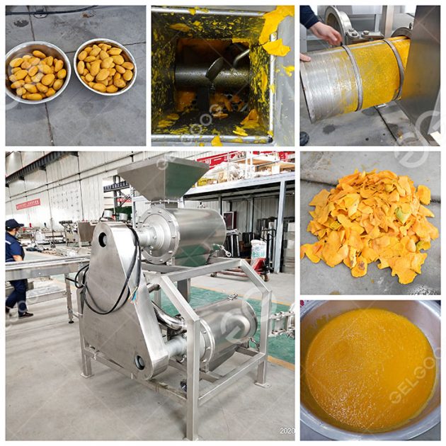 Automatic Mango Pulp Making Machine Fruit Pulp Extraction