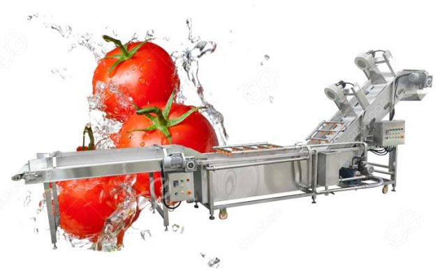 400kg/h Tomato Floating Washing Machine Tomato Pre-Processing