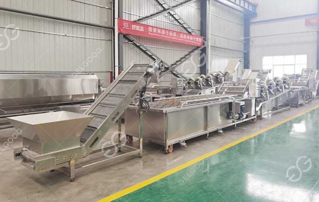 Industrial Fruit Mango Bubble Washing Cleaning Machine