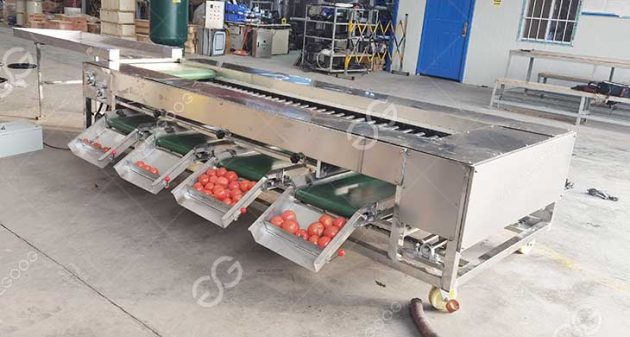 400kg/h Tomato Floating Washing Machine Tomato Pre-Processing
