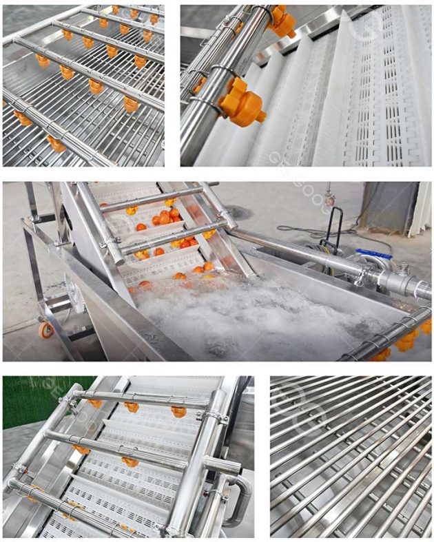 400kg/h Tomato Floating Washing Machine Tomato Pre-Processing