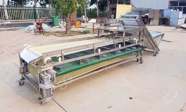 Dates Fruits Washing Drying Sorting Packing Processing Line Turnkey