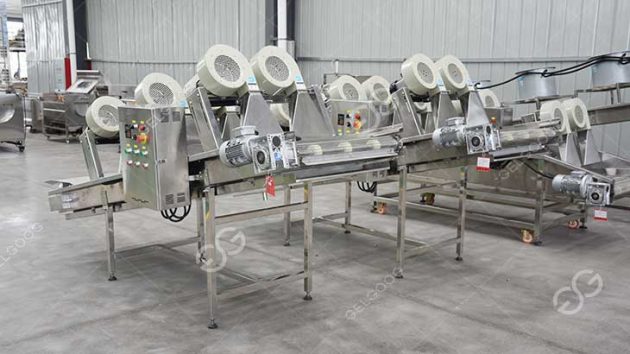 Industrial Fruit Mango Bubble Washing Cleaning Machine