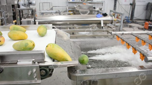 Industrial Fruit Mango Bubble Washing Cleaning Machine