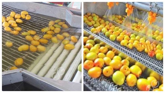Automatic Mango Fruits Washing Waxing Grading Machine