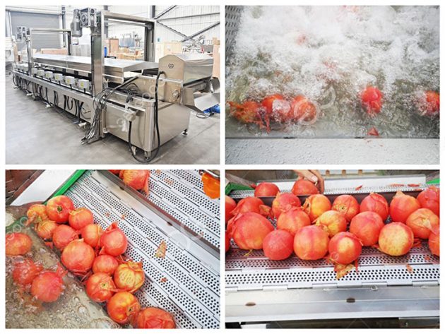 Tomato Hot Water Blanching Machine for Whole Peeled Tomatoes
