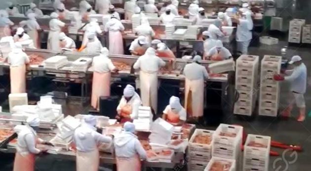 Commercial Shrimp Cleaning Machine For Seafood Washing