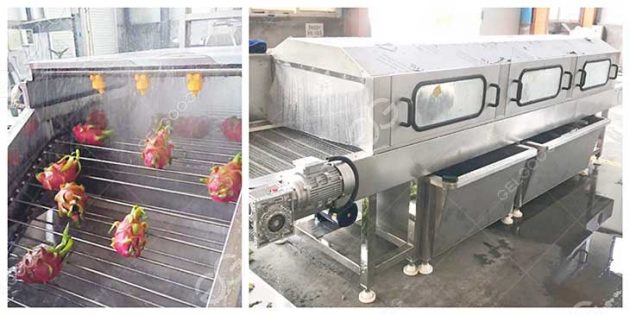 Automatic Dragon Fruit Cleaning Drying Line Grading Machine