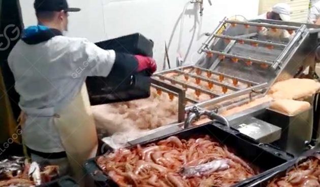 Commercial Shrimp Cleaning Machine For Seafood Washing