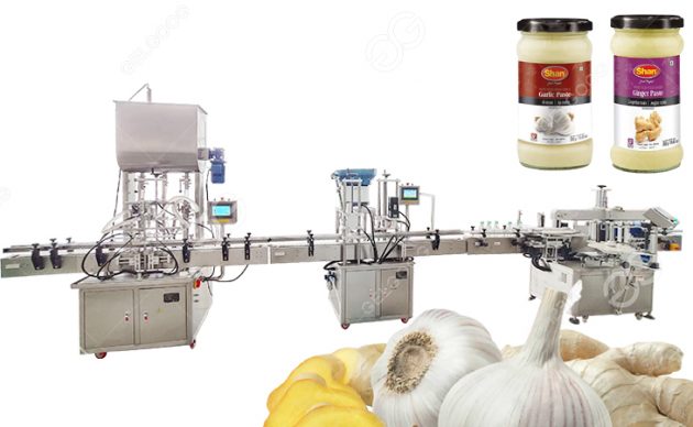 Ginger Garlic Paste Manufacturing Plant Cost