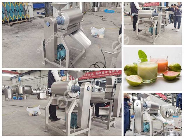 Automatic Guava Pulp Making Machine Guava Processing
