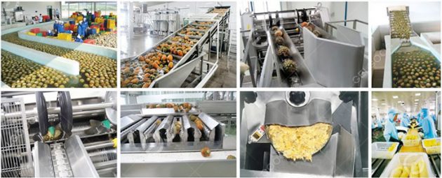 Automatic Pineapple Juice Processing Machine Plant