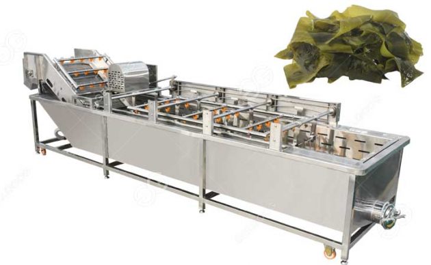 Automatic Seaweed Sea Kelp Washing Machine For Leafy Vegetable