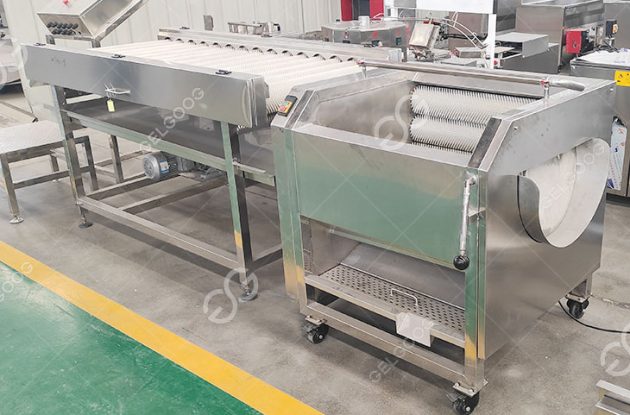 Stainless Steel Turmeric Juice Machine 500kg/h For Sale