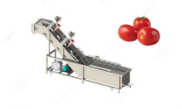 What Is The Use of Tomato Washing Machine? - Professional Fruit And ...