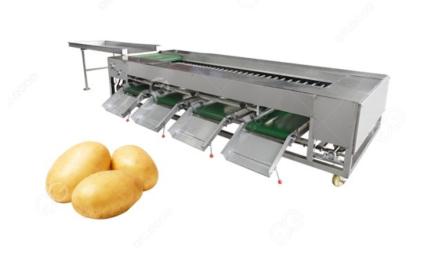 Potato Sorting Machine Cost-Optimizing Potato Sorting