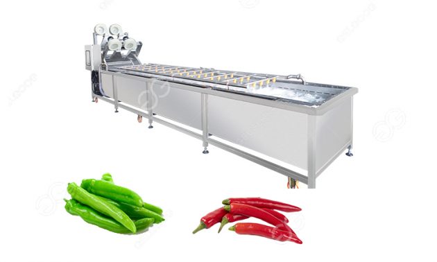 How to Clean Fresh Picked Peppers? -In Factory