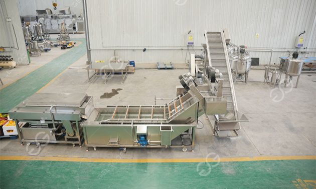 Mango Processing Machine Manufacturer-Create Professional Solutions - Professional Fruit And ...